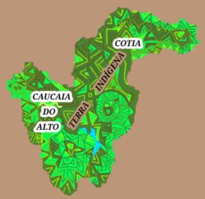 ‘Não existimos somente no passado distante’, defende ativista indígena ...